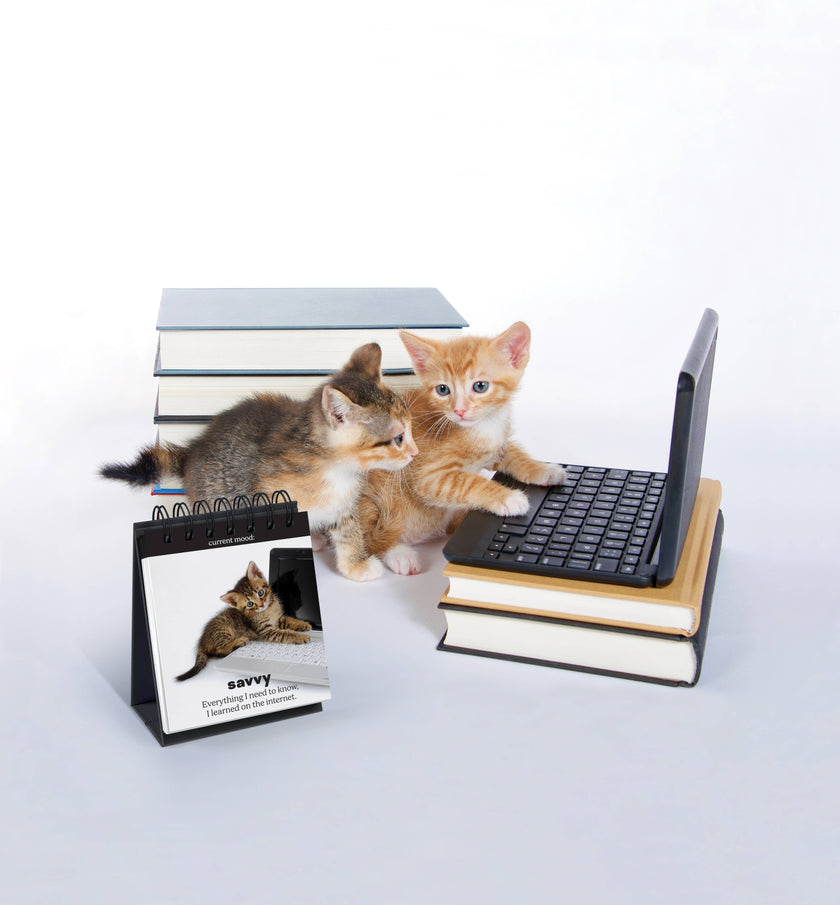 Fred- Daily Catitudes Flip Chart – Salty Paws
