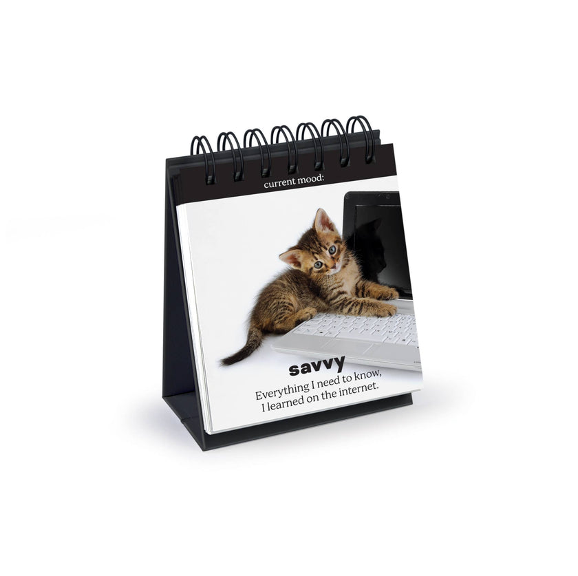Fred- Daily Catitudes Flip Chart – Salty Paws