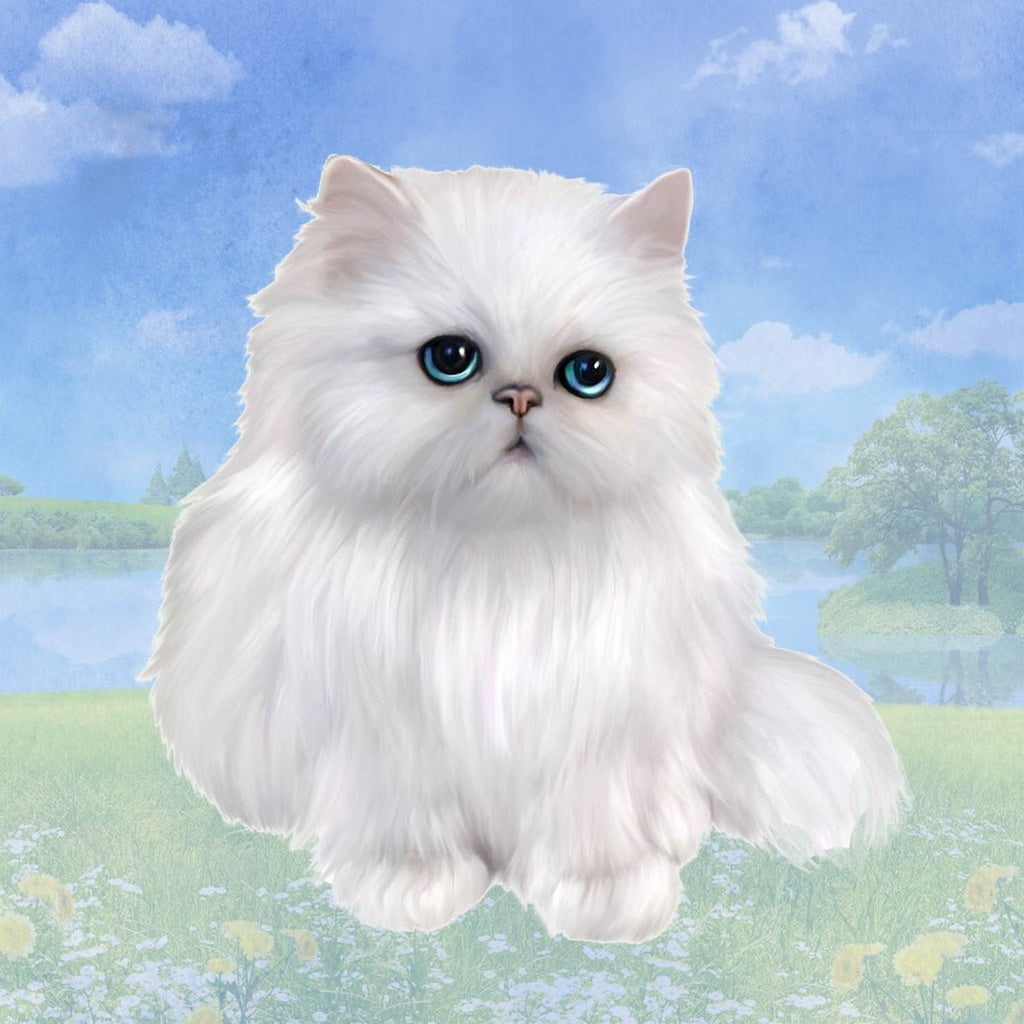 Persian Cat Square Coaster – Salty Paws