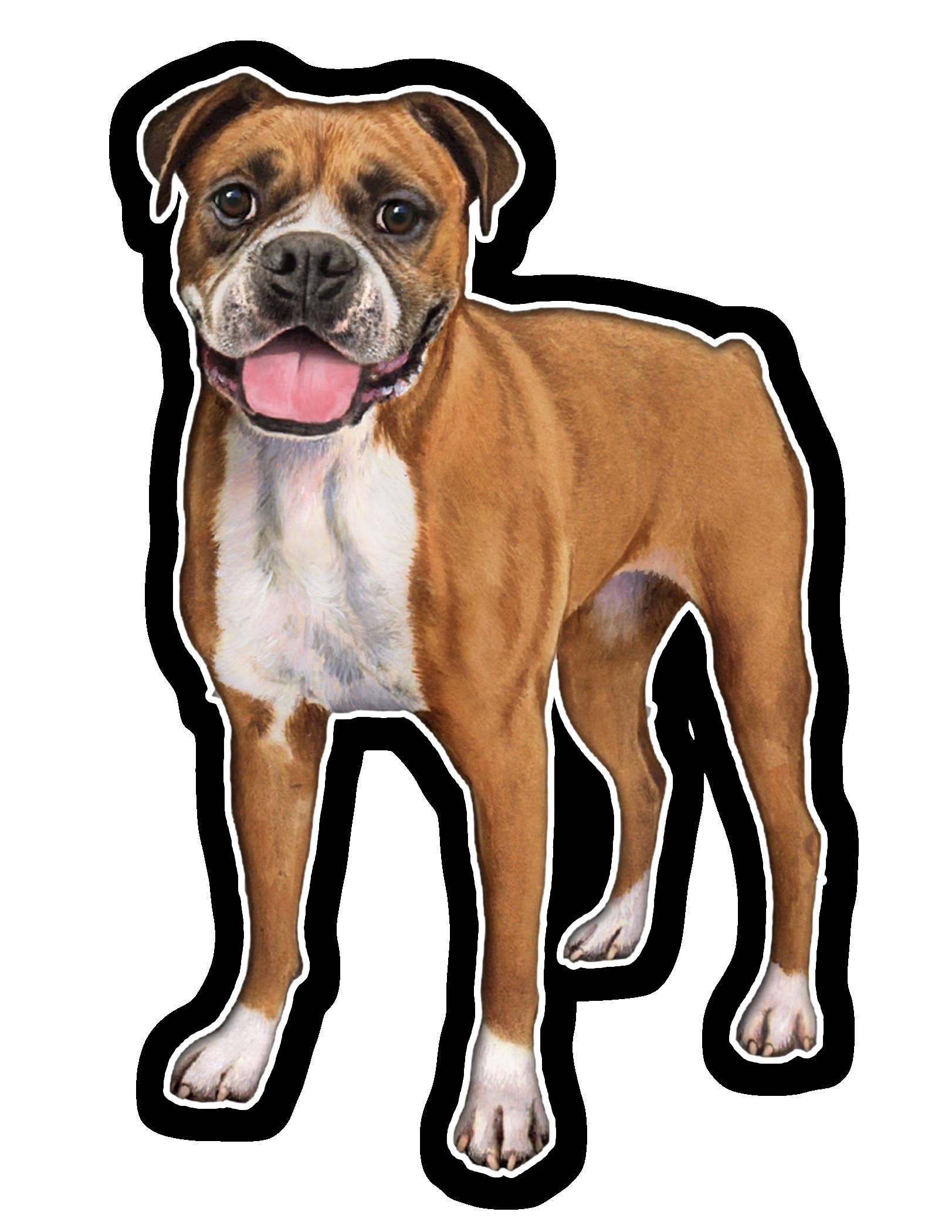 Boxer, Uncropped - Vinyl Sticker – Salty Paws