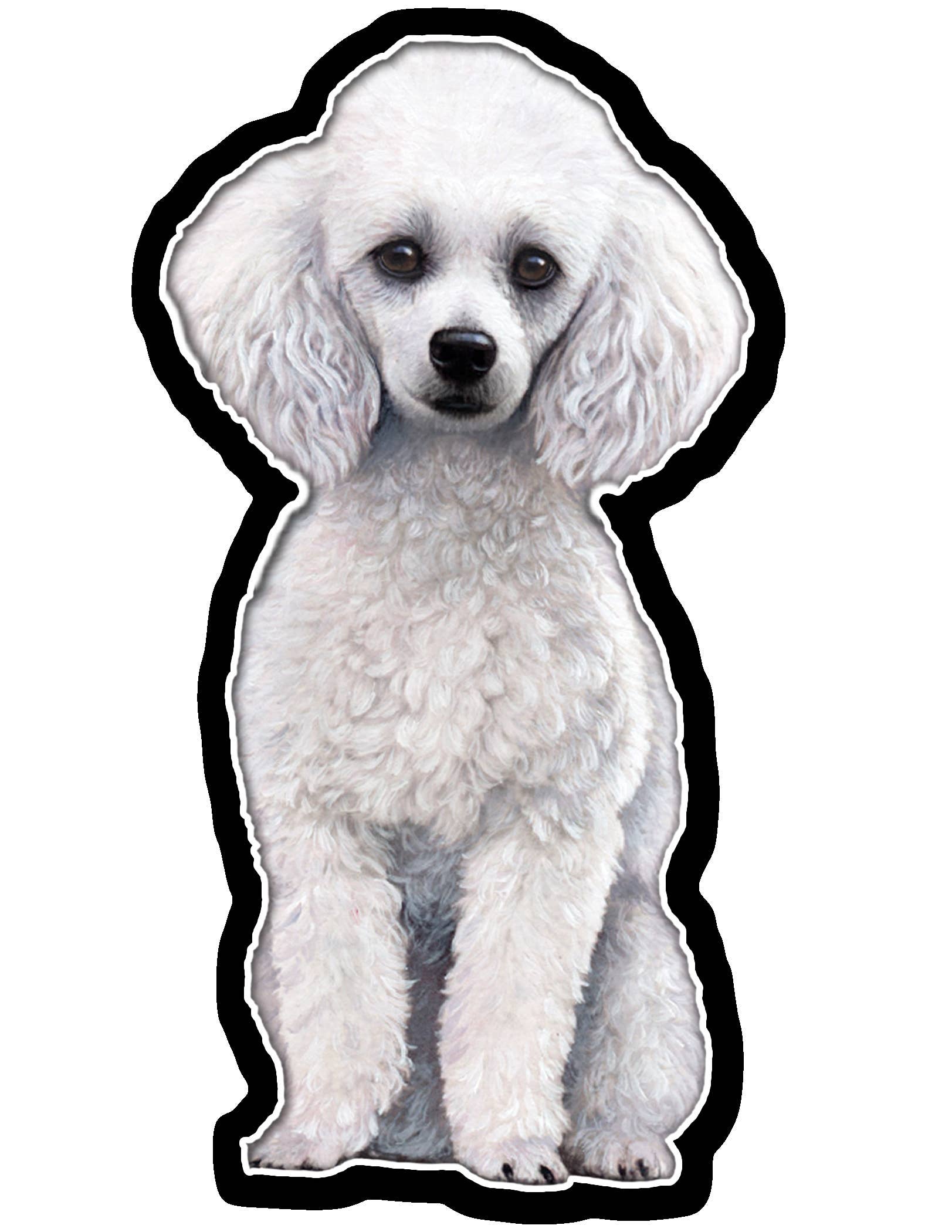 Poodle, White - Vinyl Sticker – Salty Paws
