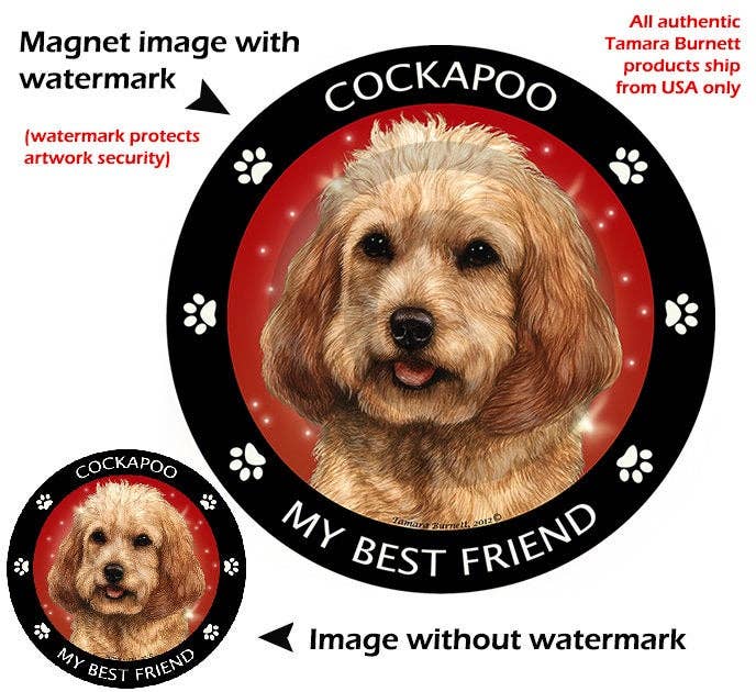 Cockapoo Blonde My Best Friend Circular Magnet – Salty Paws
