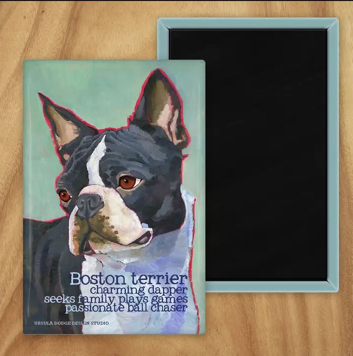 Boston Terrier Magnet (Profile) UD – Salty Paws