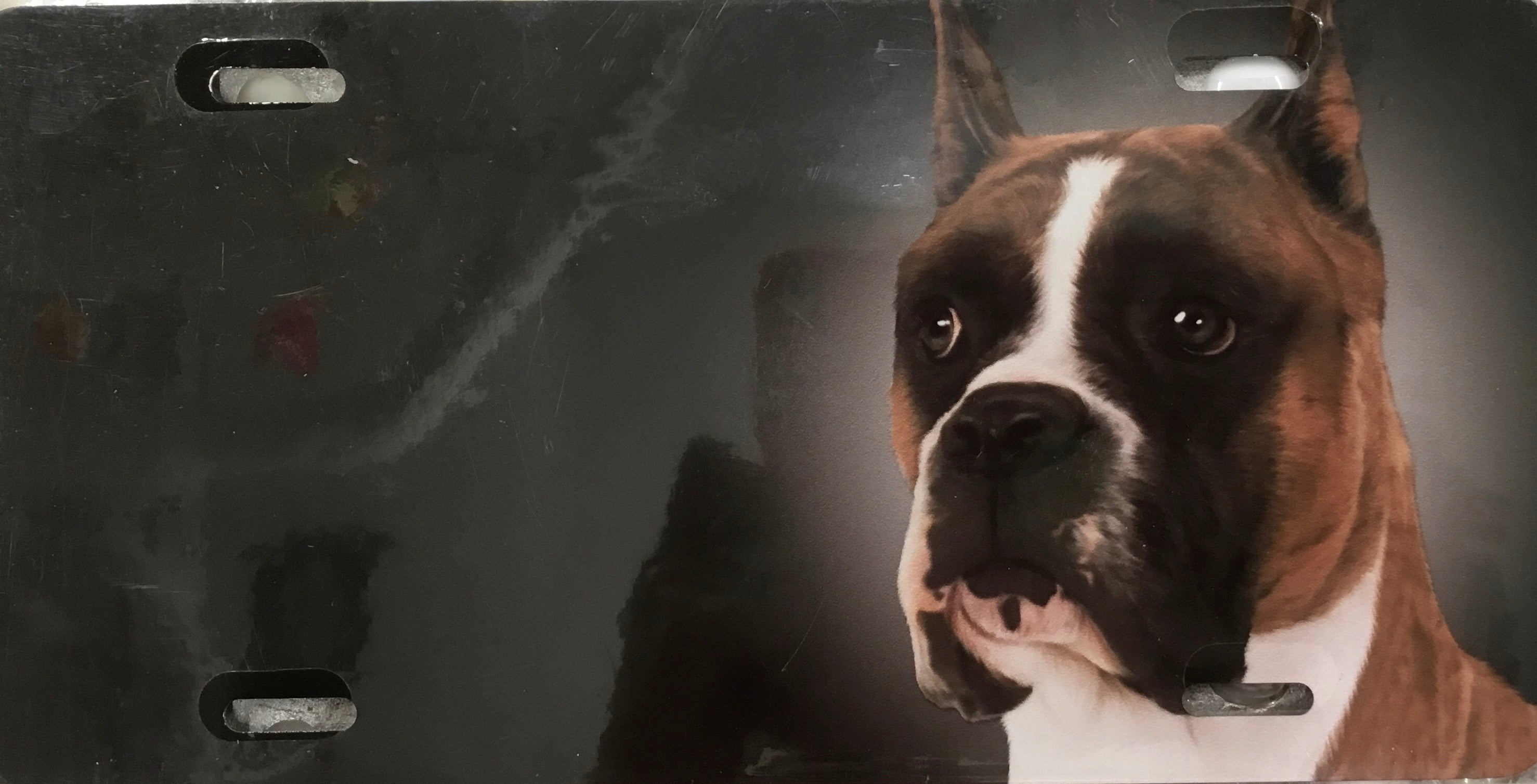 Boxer License Plate – Salty Paws