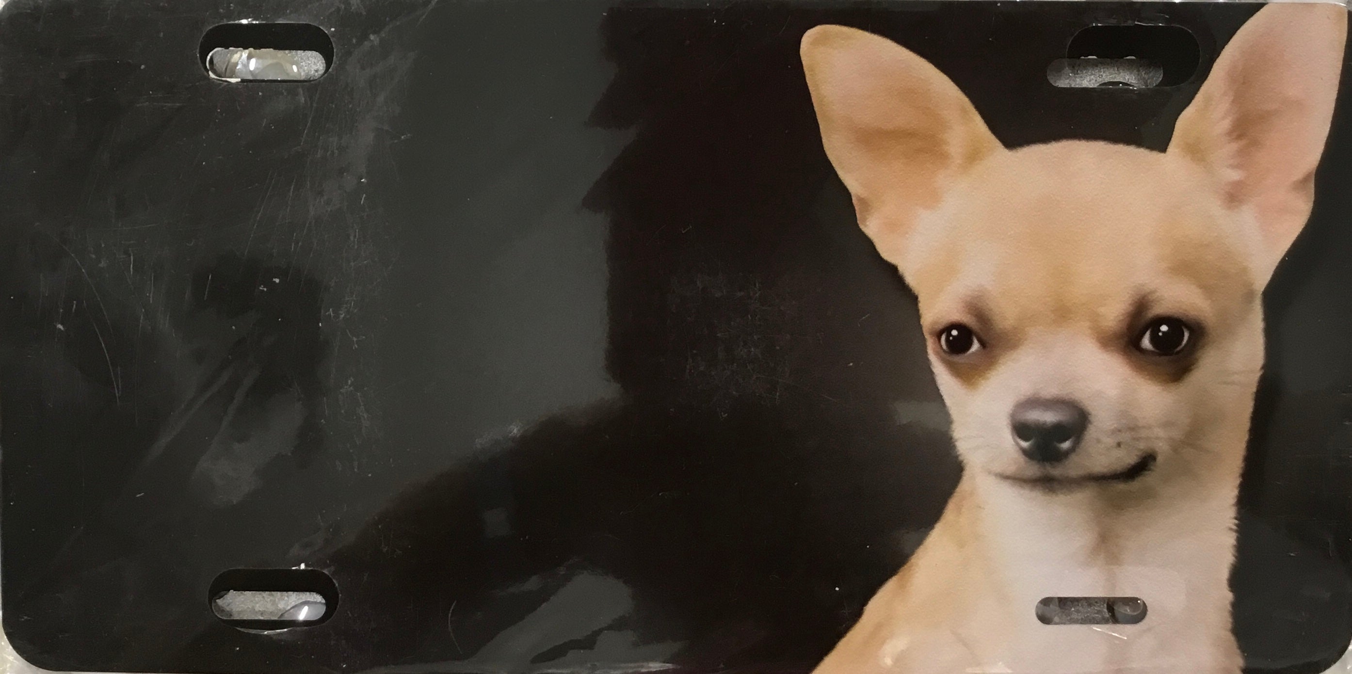 Chihuahua License Plate – Salty Paws