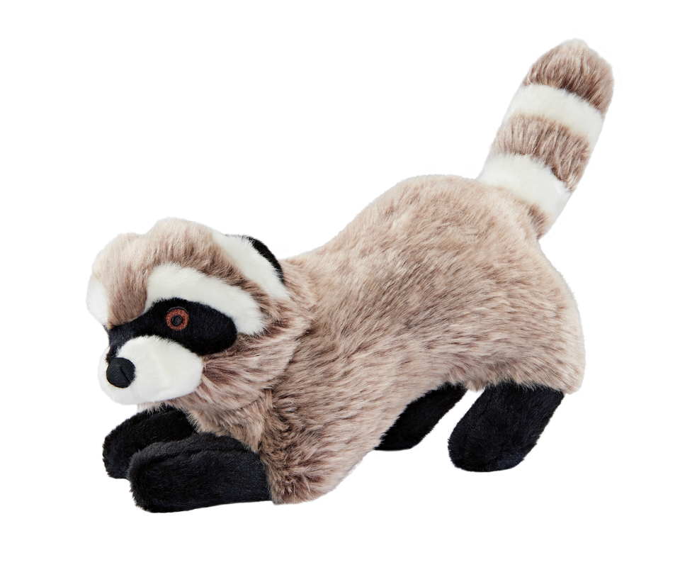 Rocket Raccoon Tuff Dog Toy – Salty Paws