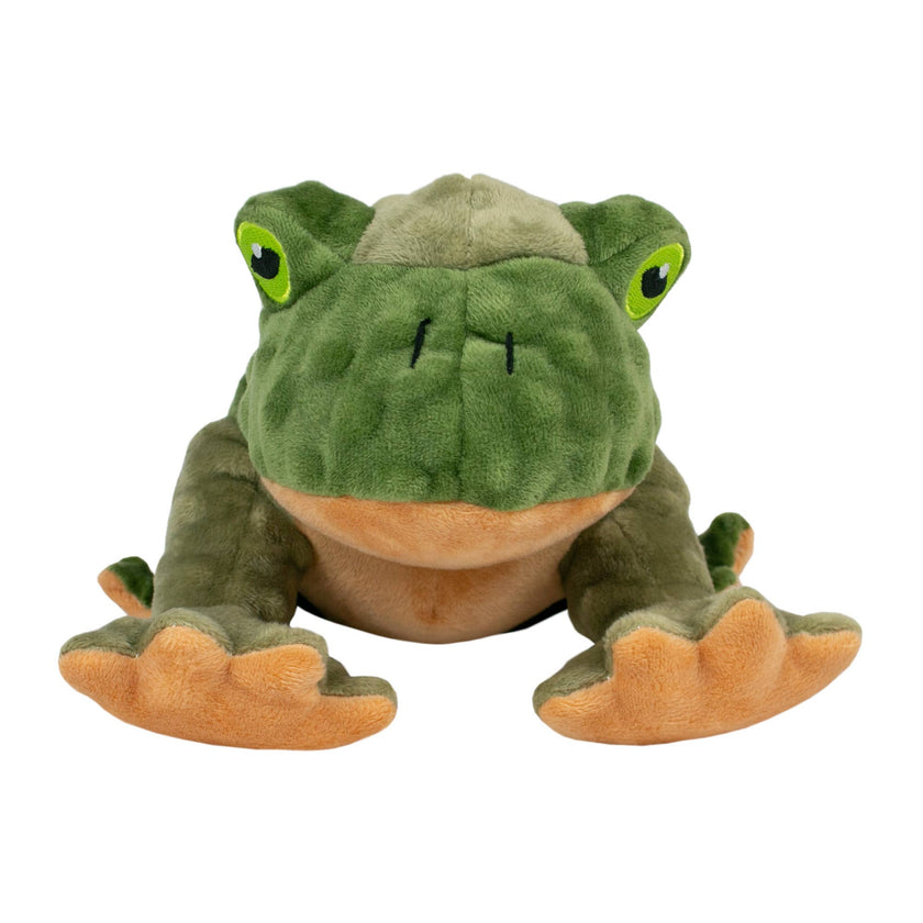 Tall Tails Animated Frog Toy – Salty Paws