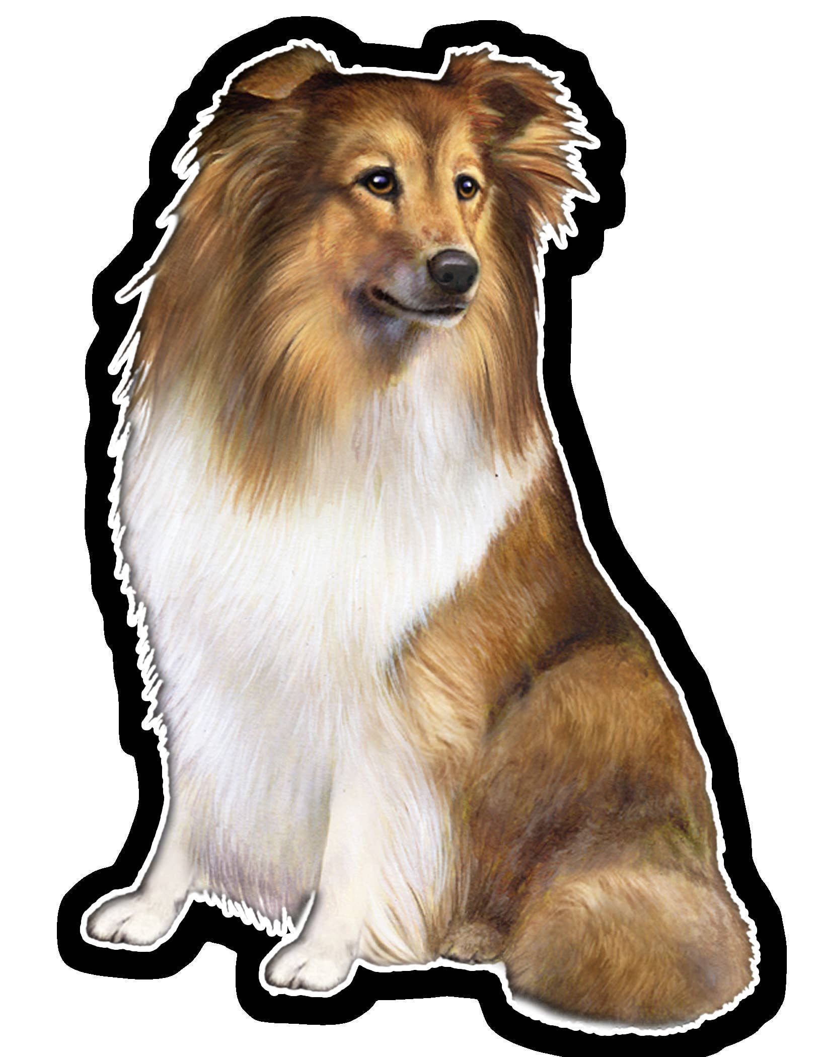 Sheltie - Vinyl Sticker – Salty Paws