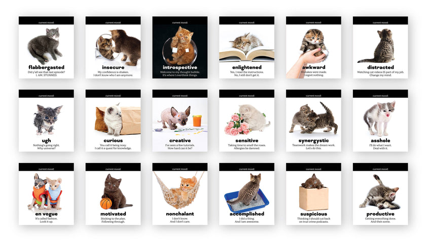 Fred- Daily Catitudes Flip Chart – Salty Paws