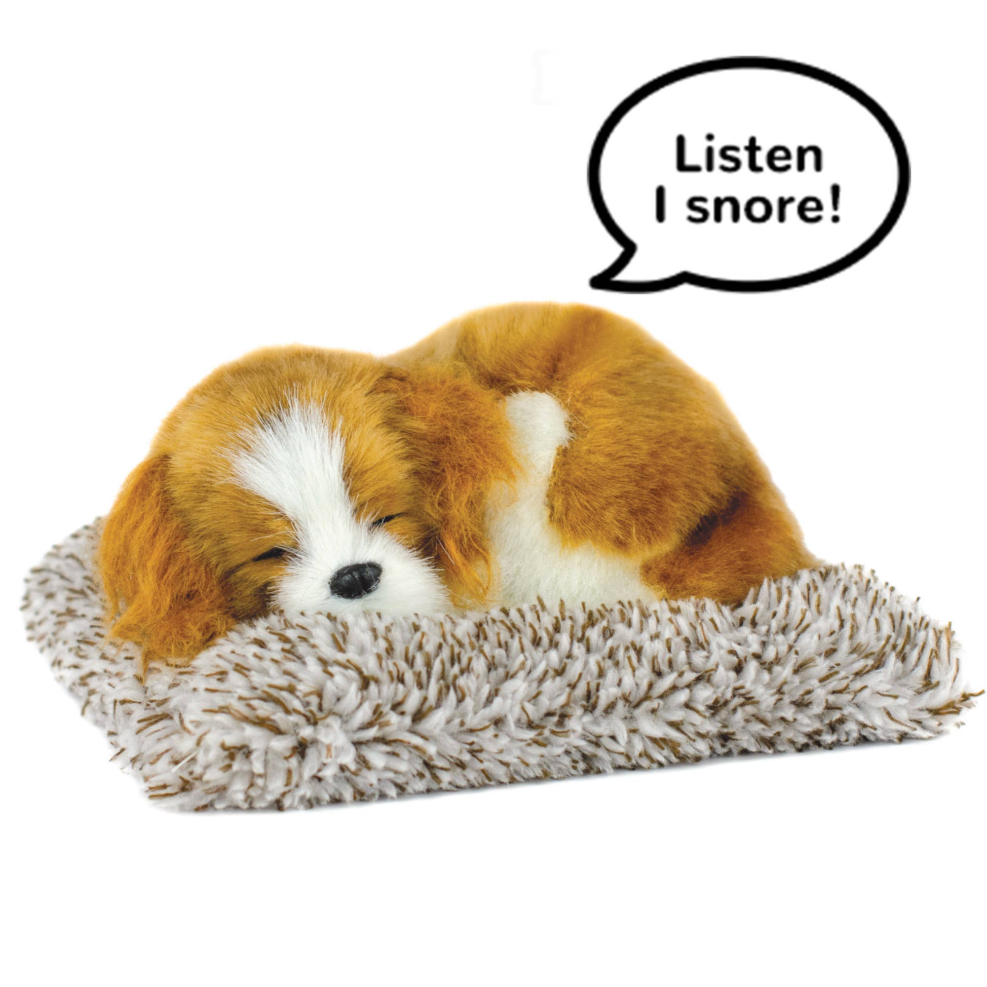 Mini Cavalier King Charles Perfect Petzzz – Salty Paws