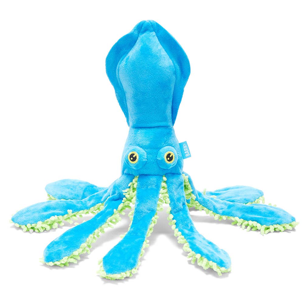 BARK Shifty Sid the Squid Dog Toy – Salty Paws